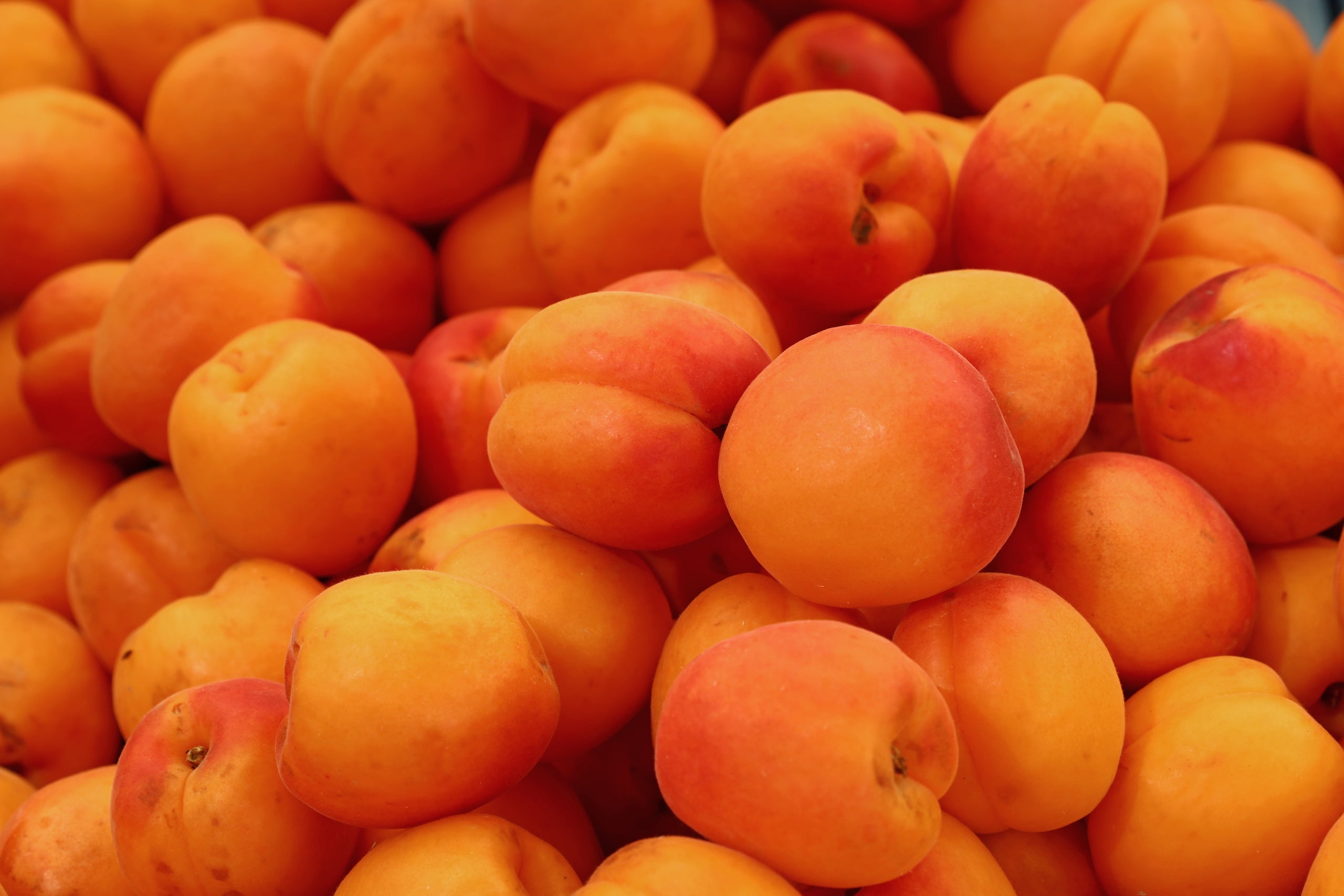 Apricot & Habanero | Fruit Hot Sauce | 150ml | The Tasty Stuff
